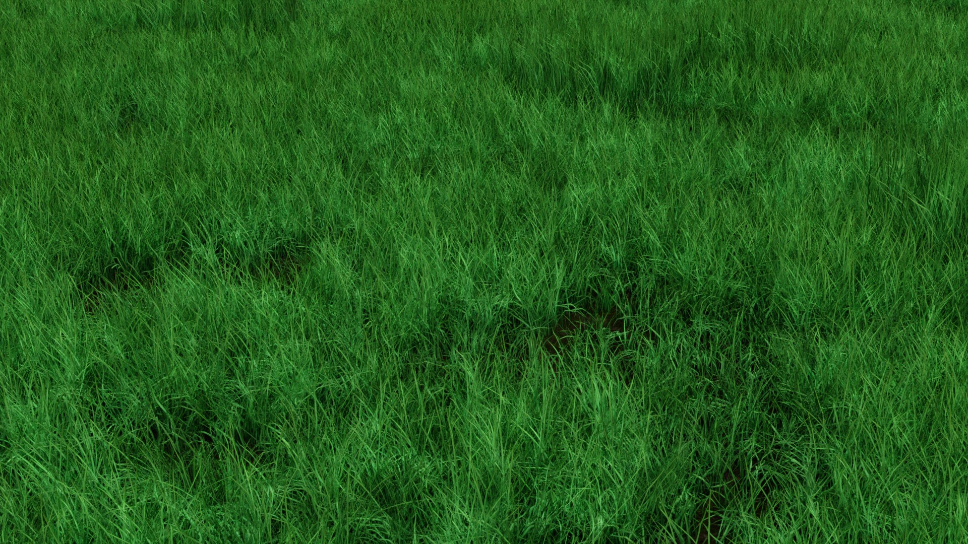 Grimdesigns Grass Vol 2 3D Model - TurboSquid 2157584