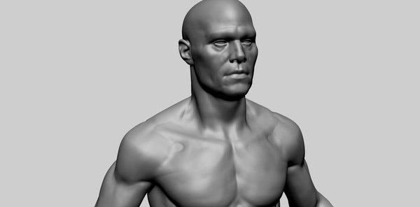 modelo 3d Anatomía masculina básica B - TurboSquid 2198890