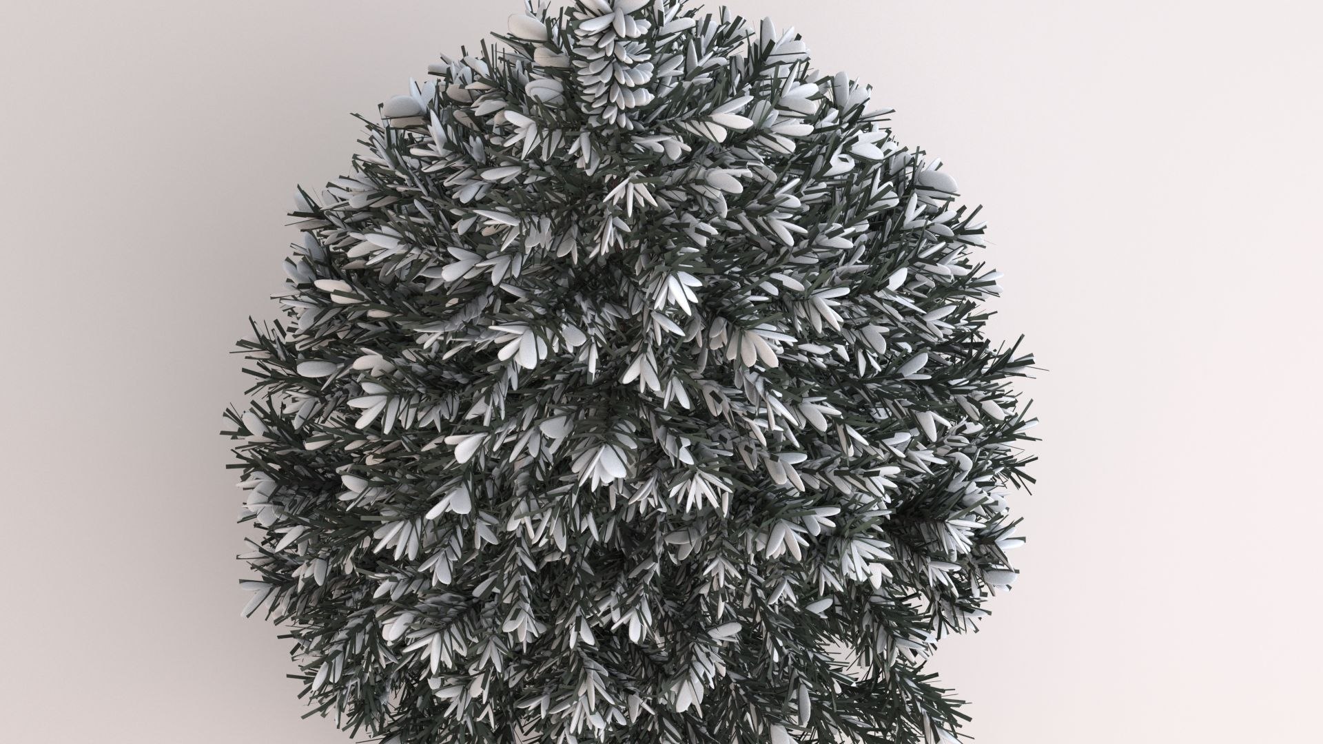 3d Pine Fir Tree Snow Model