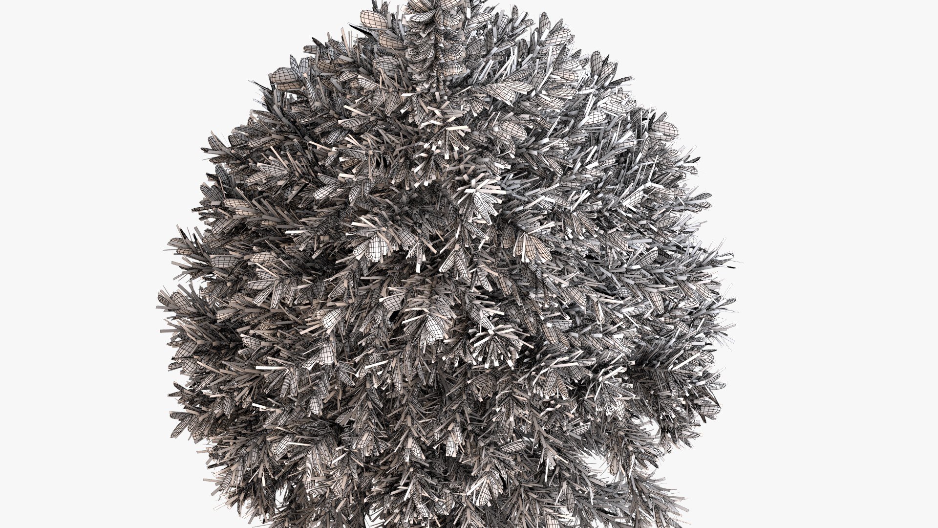 3d Pine Fir Tree Snow Model