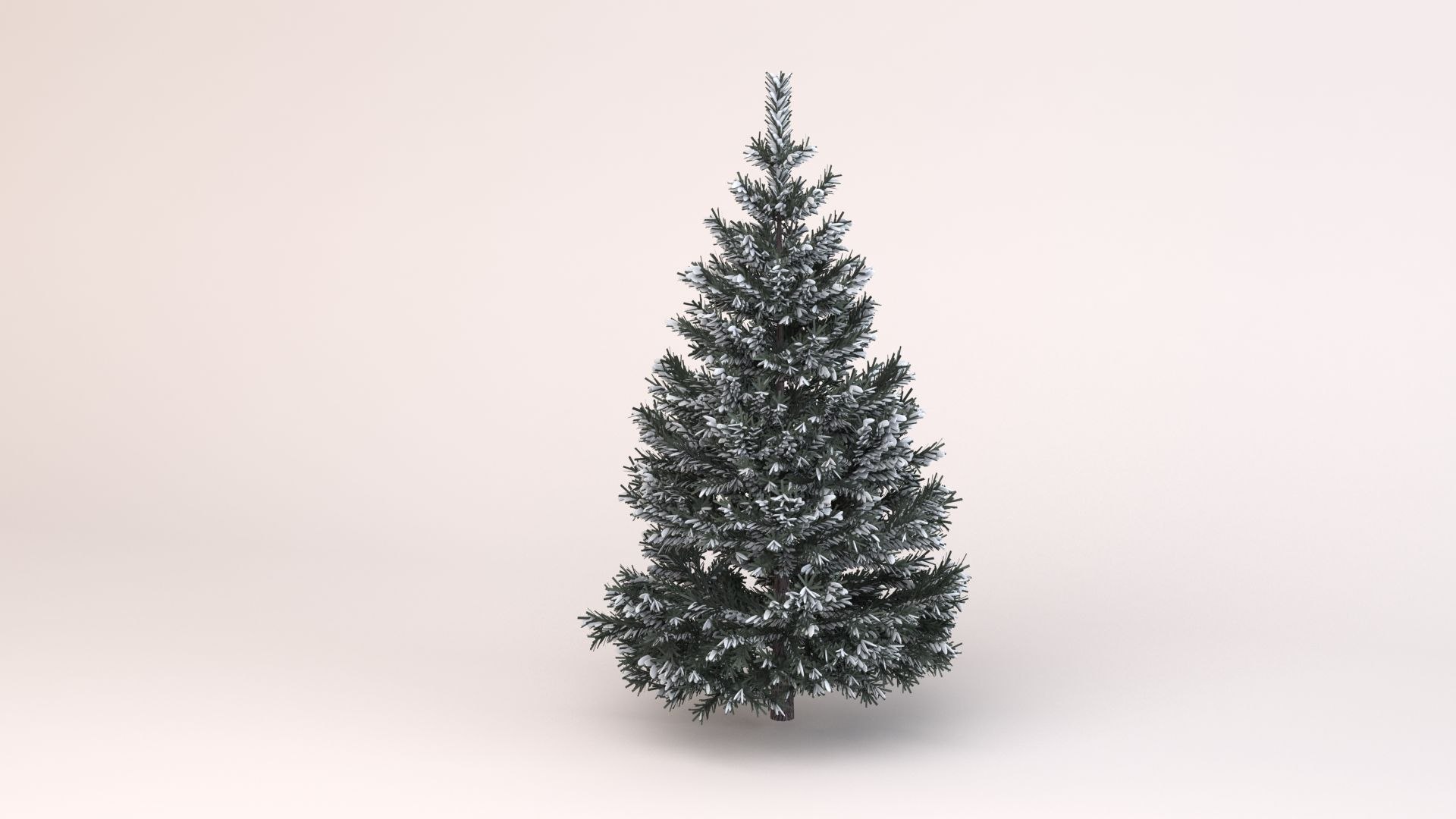 3d Pine Fir Tree Snow Model