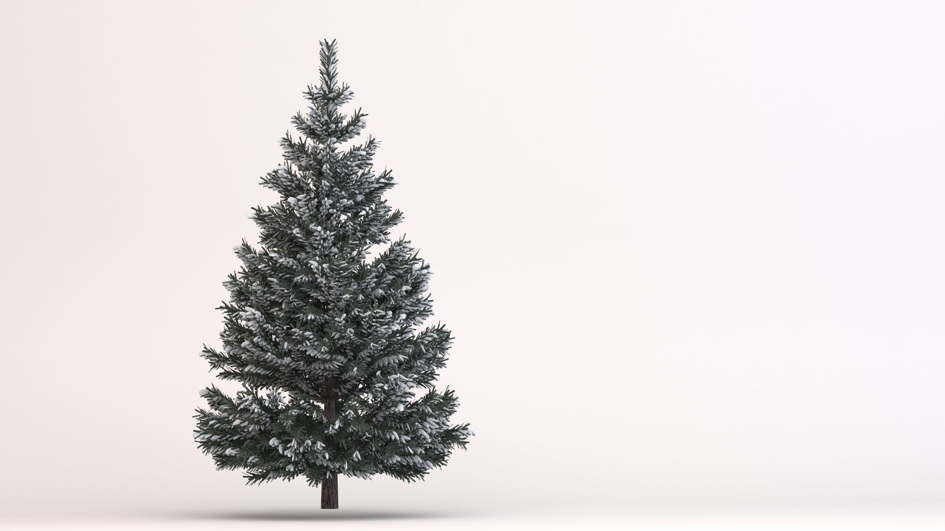 3d Pine Fir Tree Snow Model