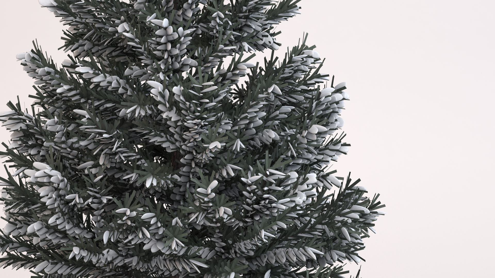 3d Pine Fir Tree Snow Model