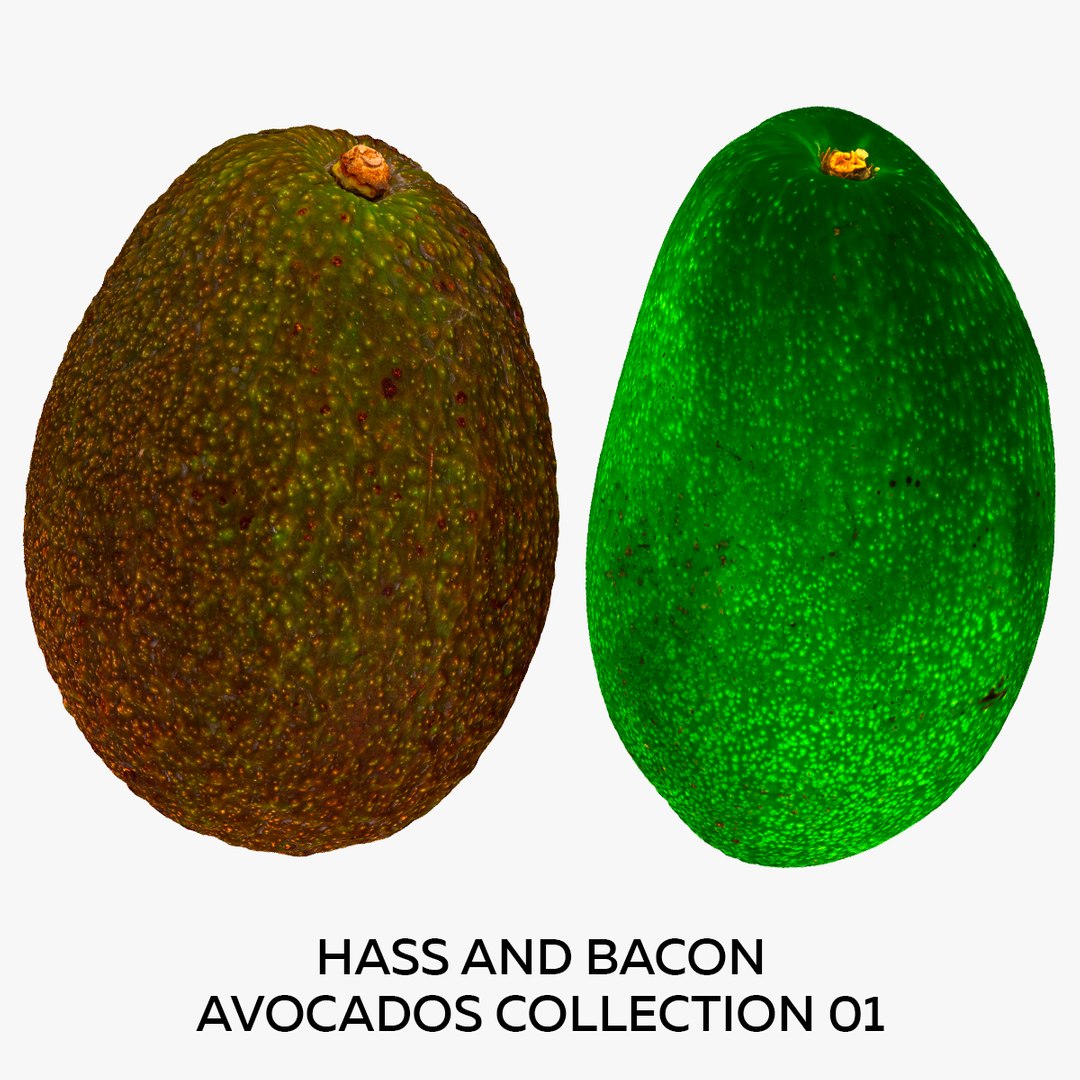 Hass And Bacon Avocados Collection 01 - 2 Models RAW Scans Model ...