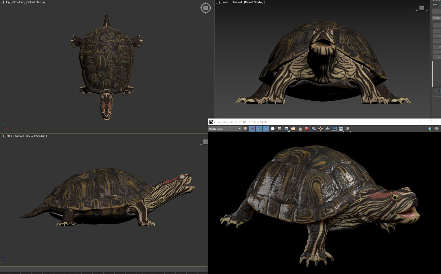 Turtle 3D Model - TurboSquid 1961810