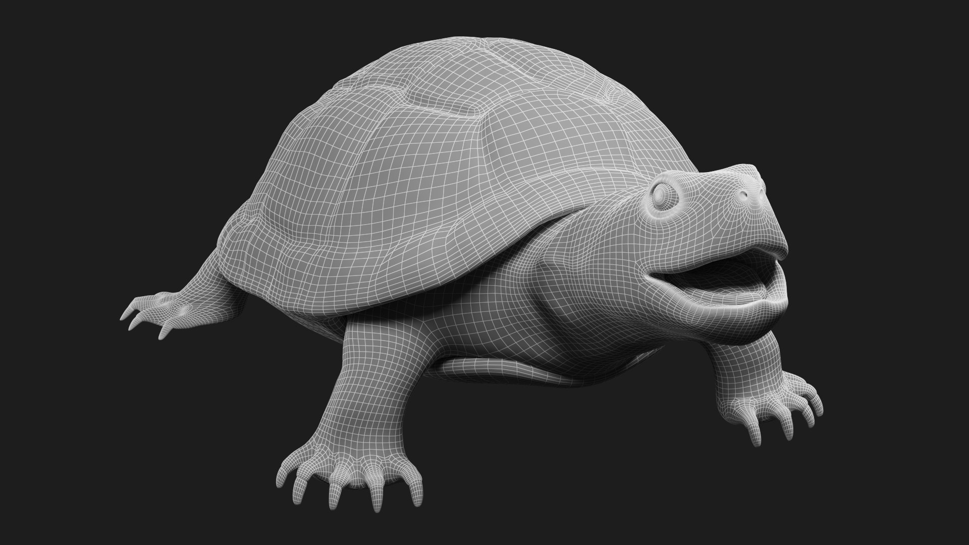 Turtle 3D Model - TurboSquid 1961810