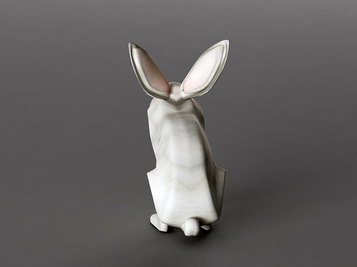 Rabbit