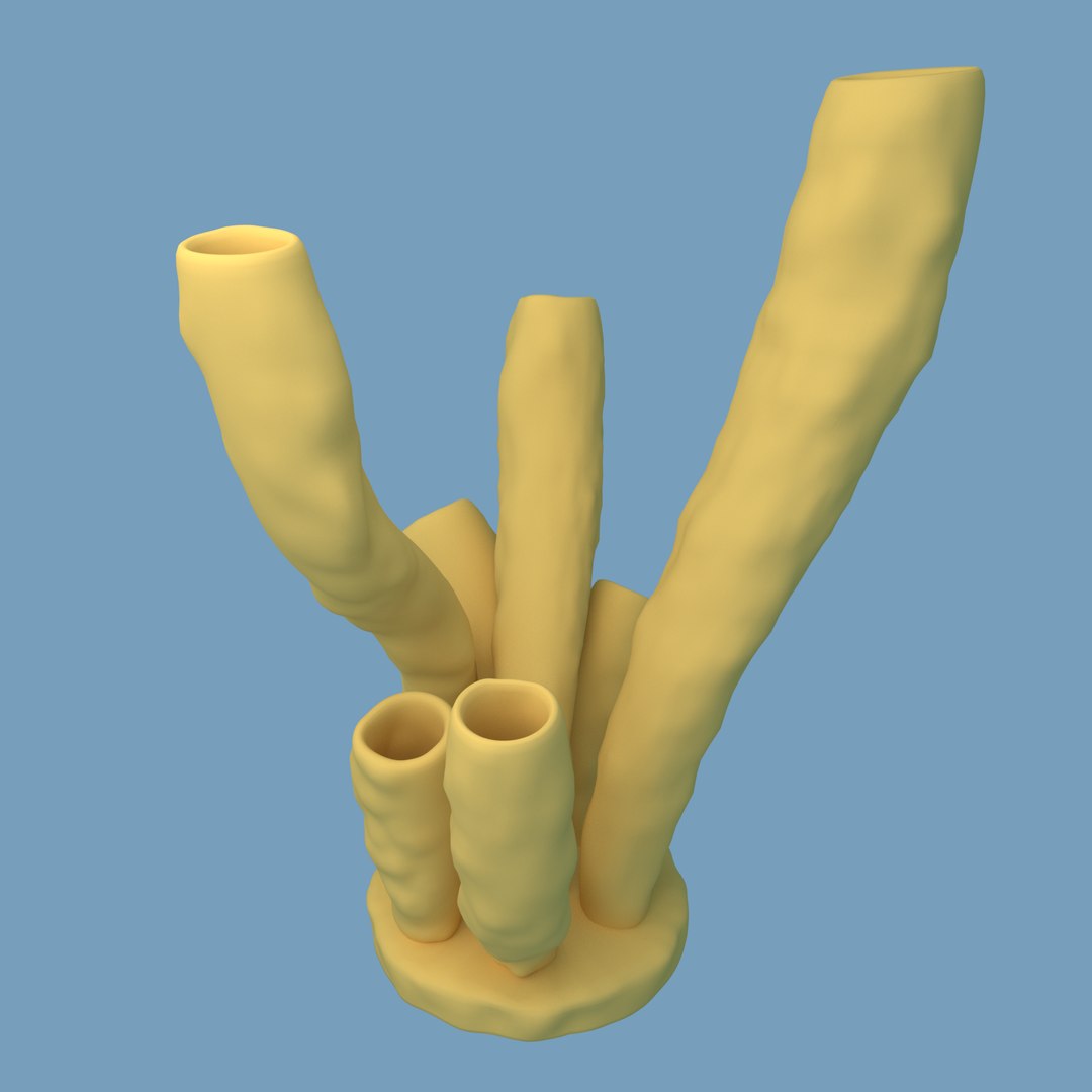 3D Model Marine Sponges Fish Tank - TurboSquid 1355641