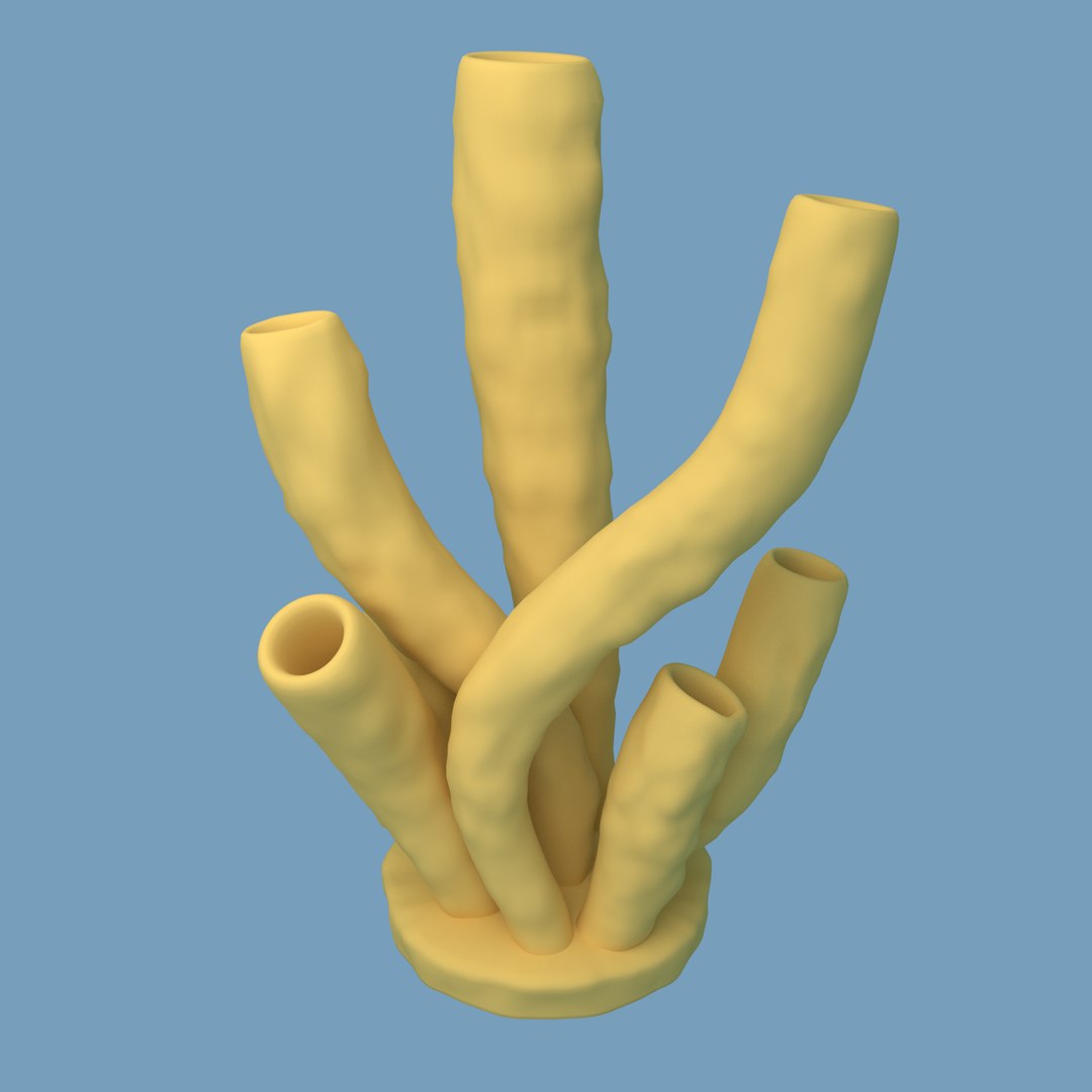 3D Model Marine Sponges Fish Tank - TurboSquid 1355641