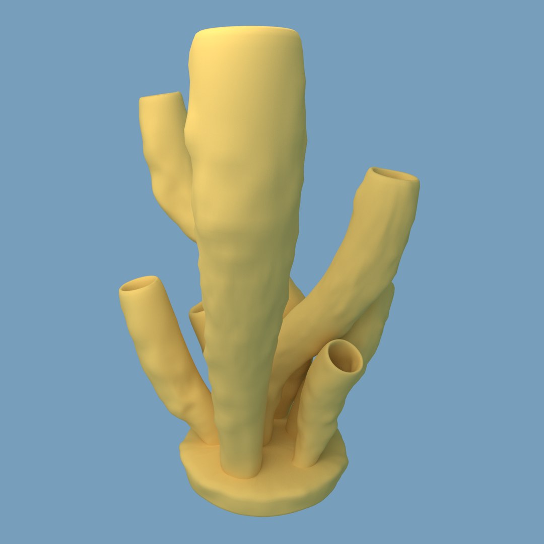 3D Model Marine Sponges Fish Tank - TurboSquid 1355641