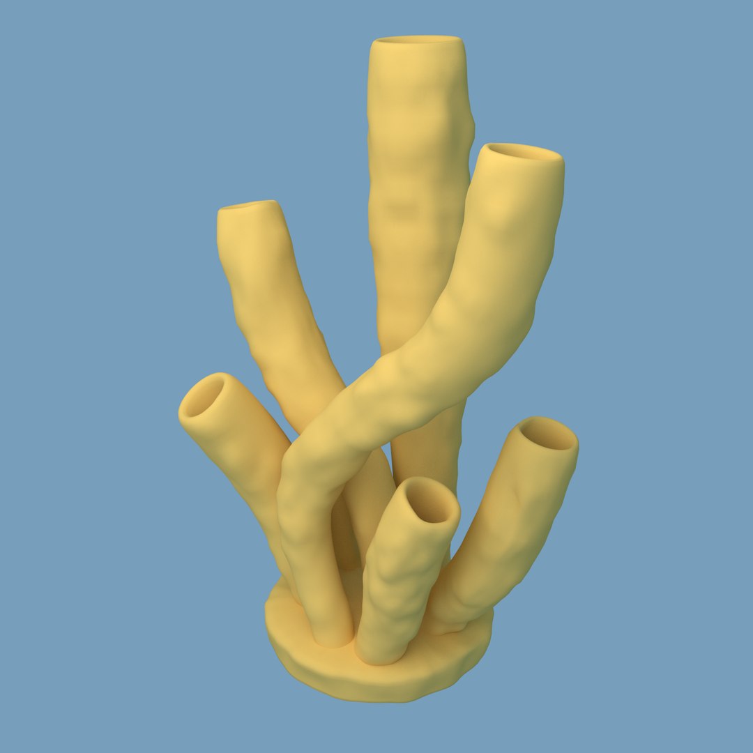 3D Model Marine Sponges Fish Tank - TurboSquid 1355641