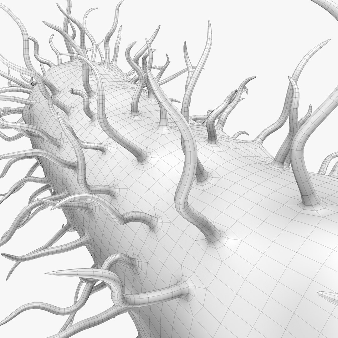 Prokaryotic cell ribosomes model | 1149003 | TurboSquid