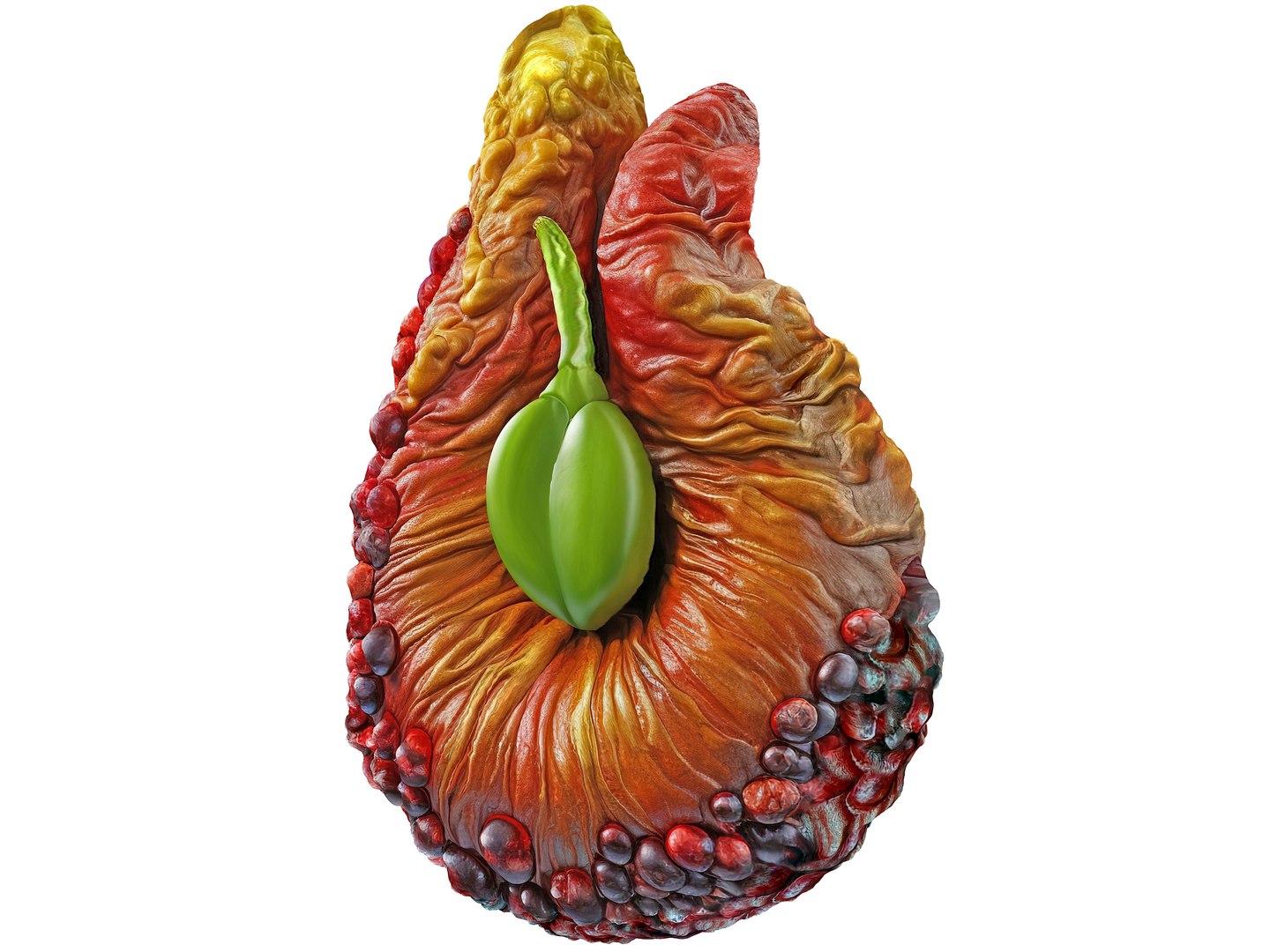Magical Fruits model - TurboSquid 2104273