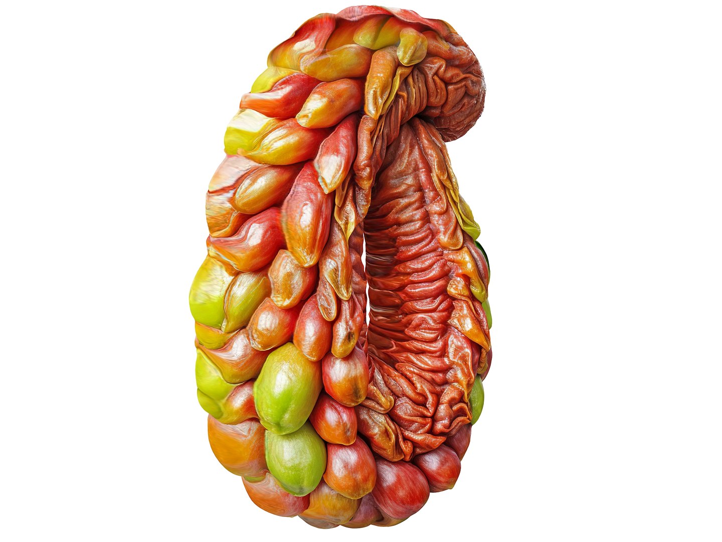 Magical Fruits model - TurboSquid 2104273