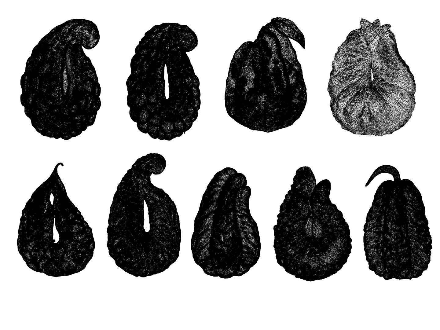 Magical Fruits model - TurboSquid 2104273