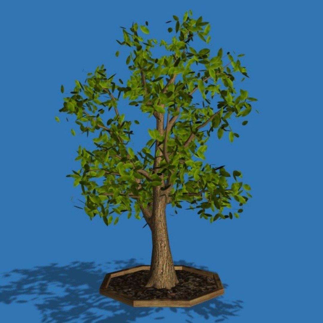 3ds ash tree plants pl