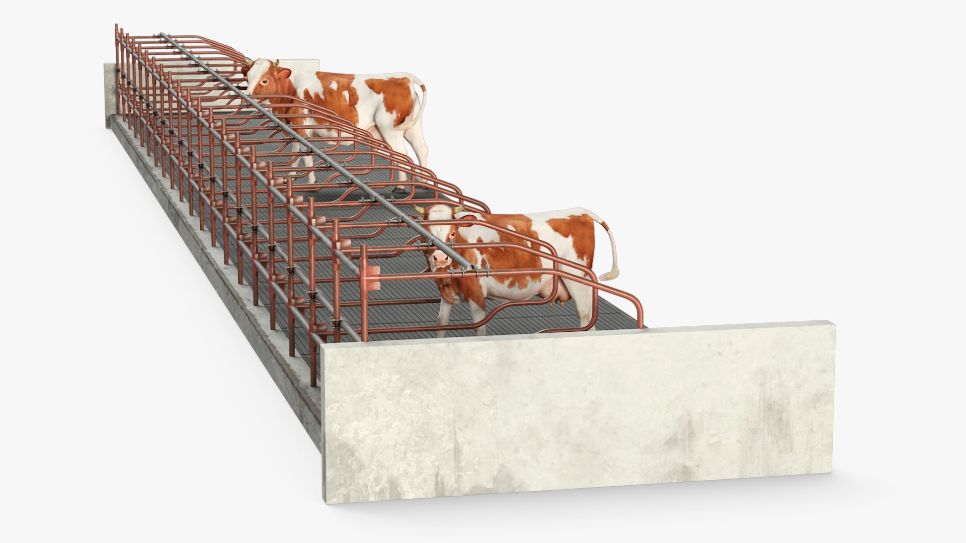 Cow Stalls And Cow 3D Model - TurboSquid 2376711