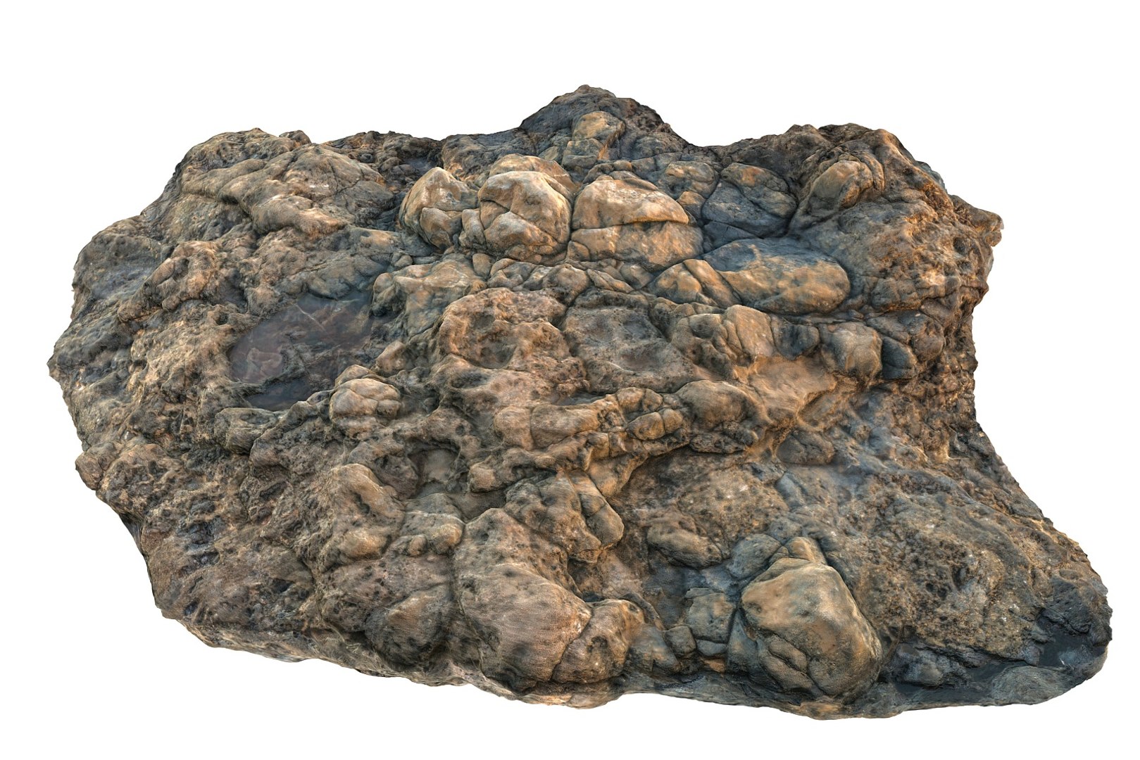 3d coral reef ground scan model