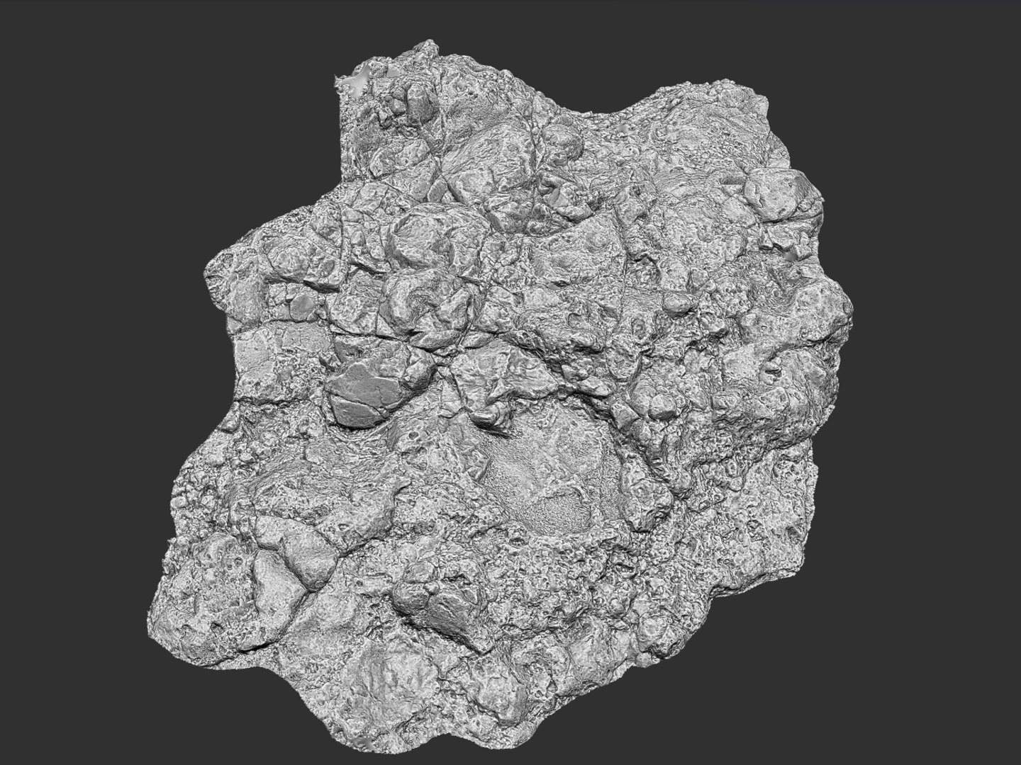 3d coral reef ground scan model