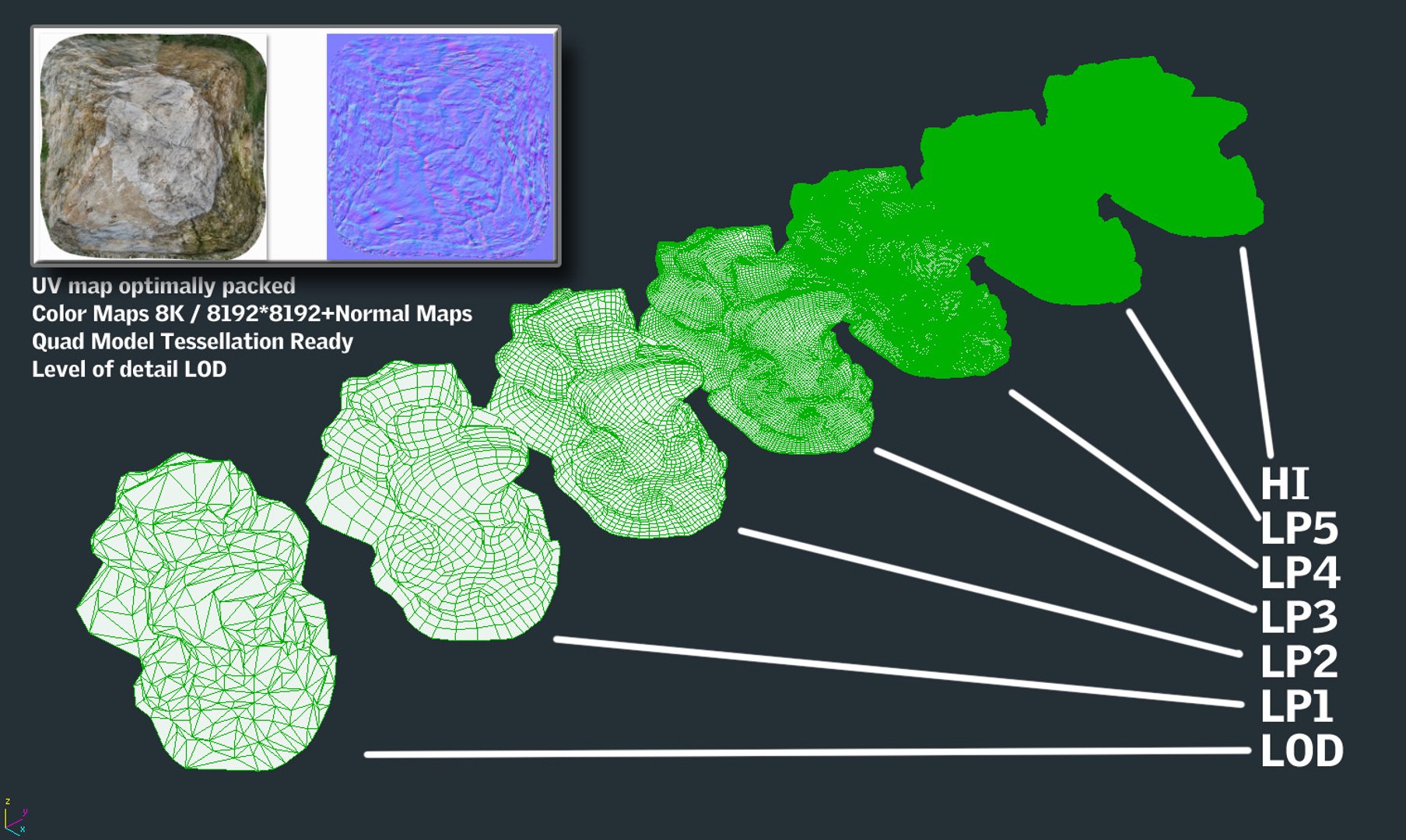 3d coral reef ground scan model
