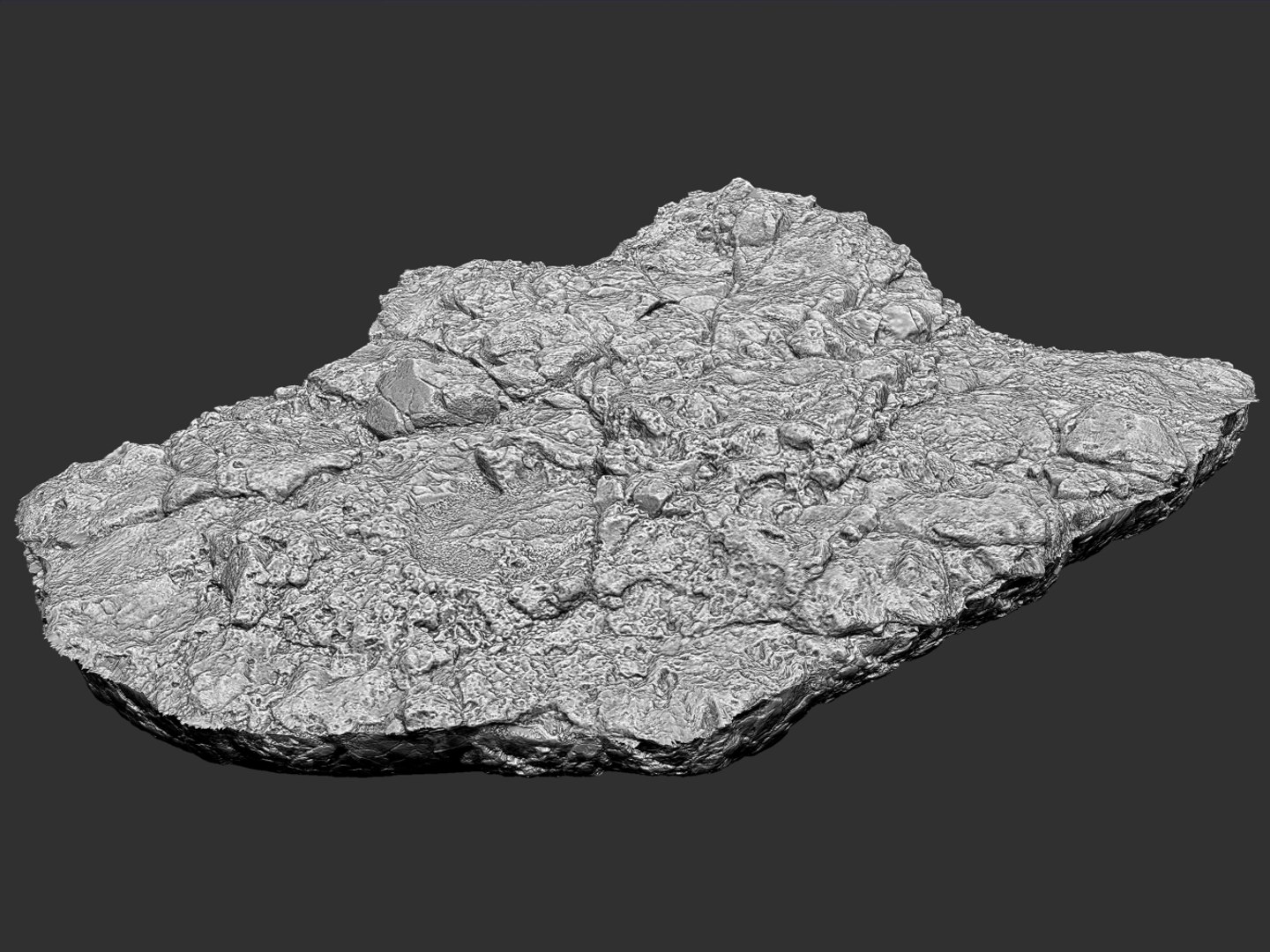 3d coral reef ground scan model
