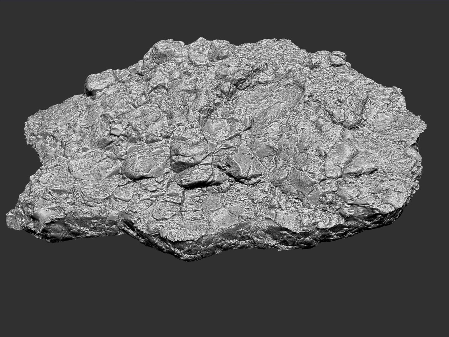 3d coral reef ground scan model