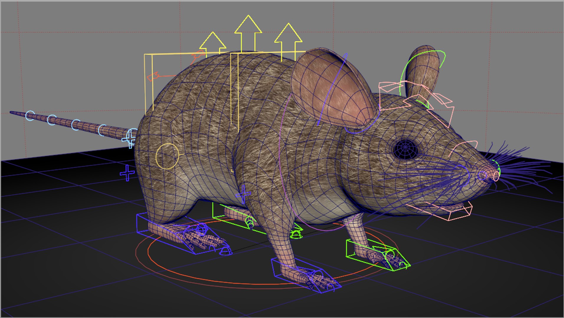 Mouse Rigged 3D Model - TurboSquid 2314287