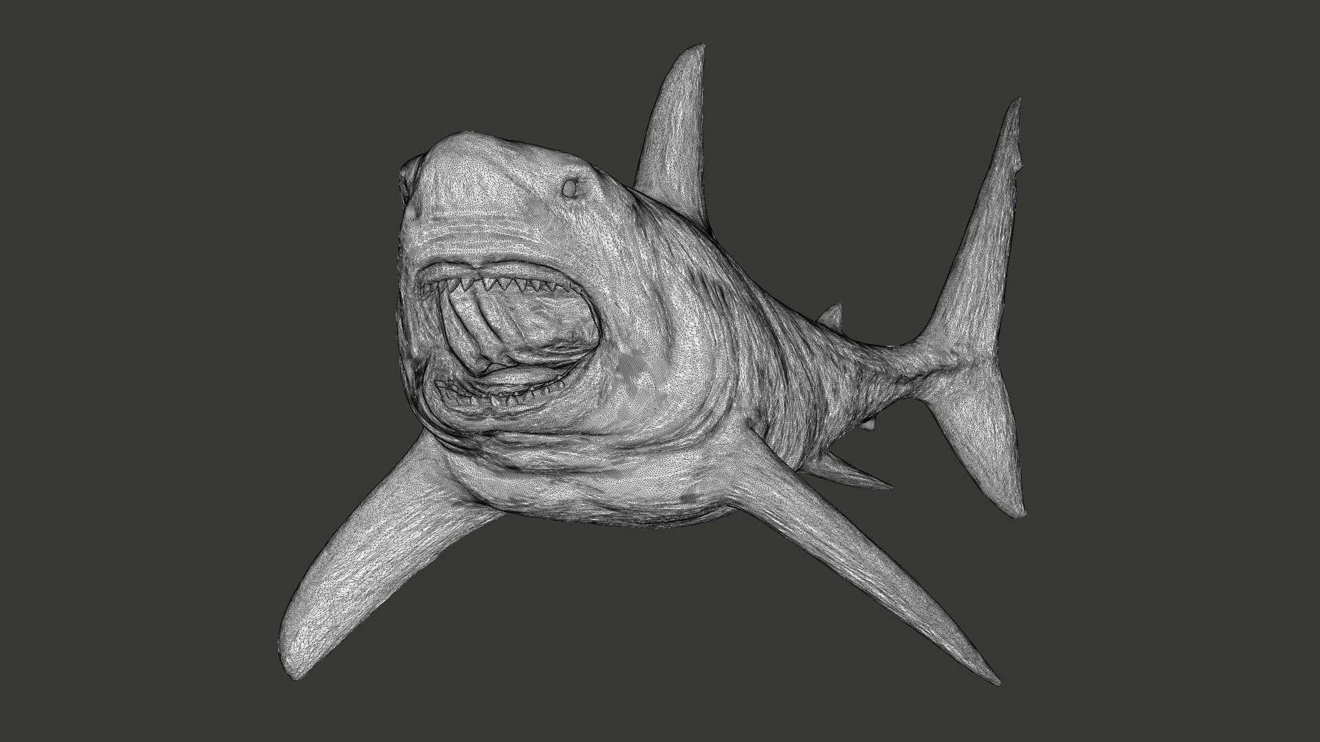 Great White Shark Attack 3D Model - TurboSquid 1713259
