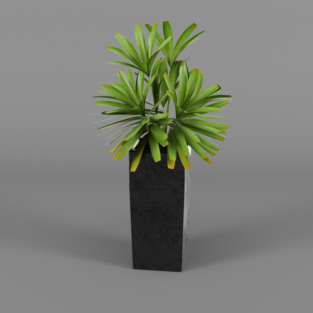 3d Natural Indoor Plant Pot Model
