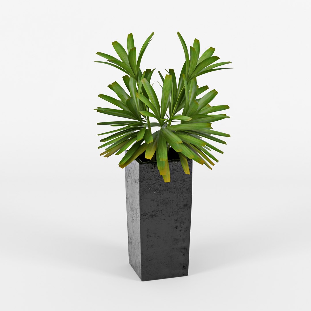3d Natural Indoor Plant Pot Model