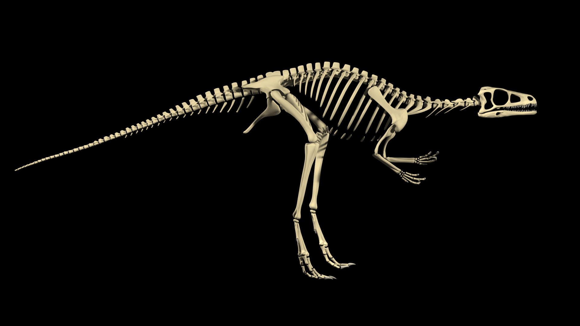 Eoraptor Lunensis Dinosaur 3d Model
