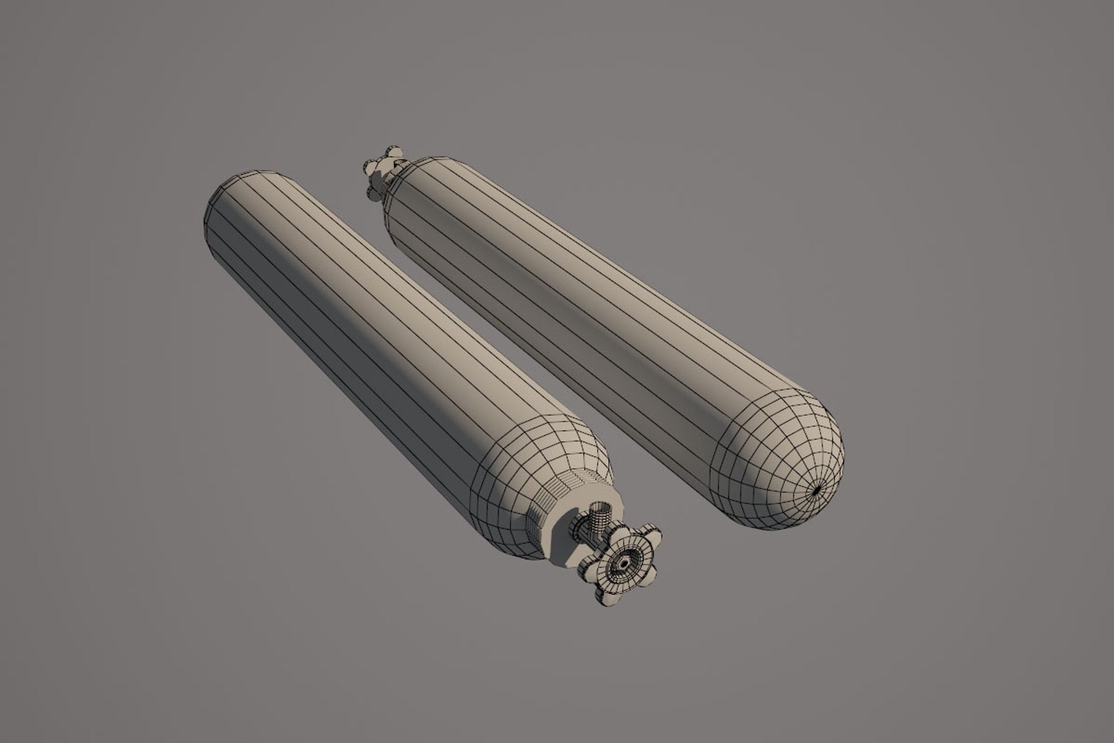 Co2 Tank 3D Model - TurboSquid 1440725