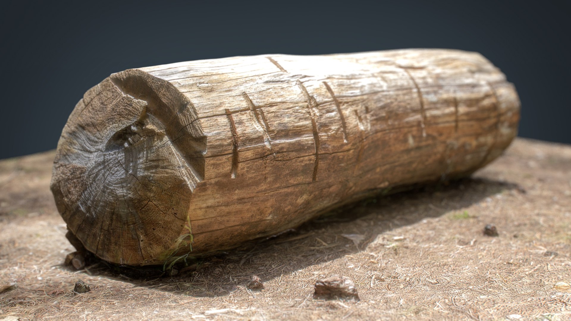 3D dead trunk model - TurboSquid 1162424