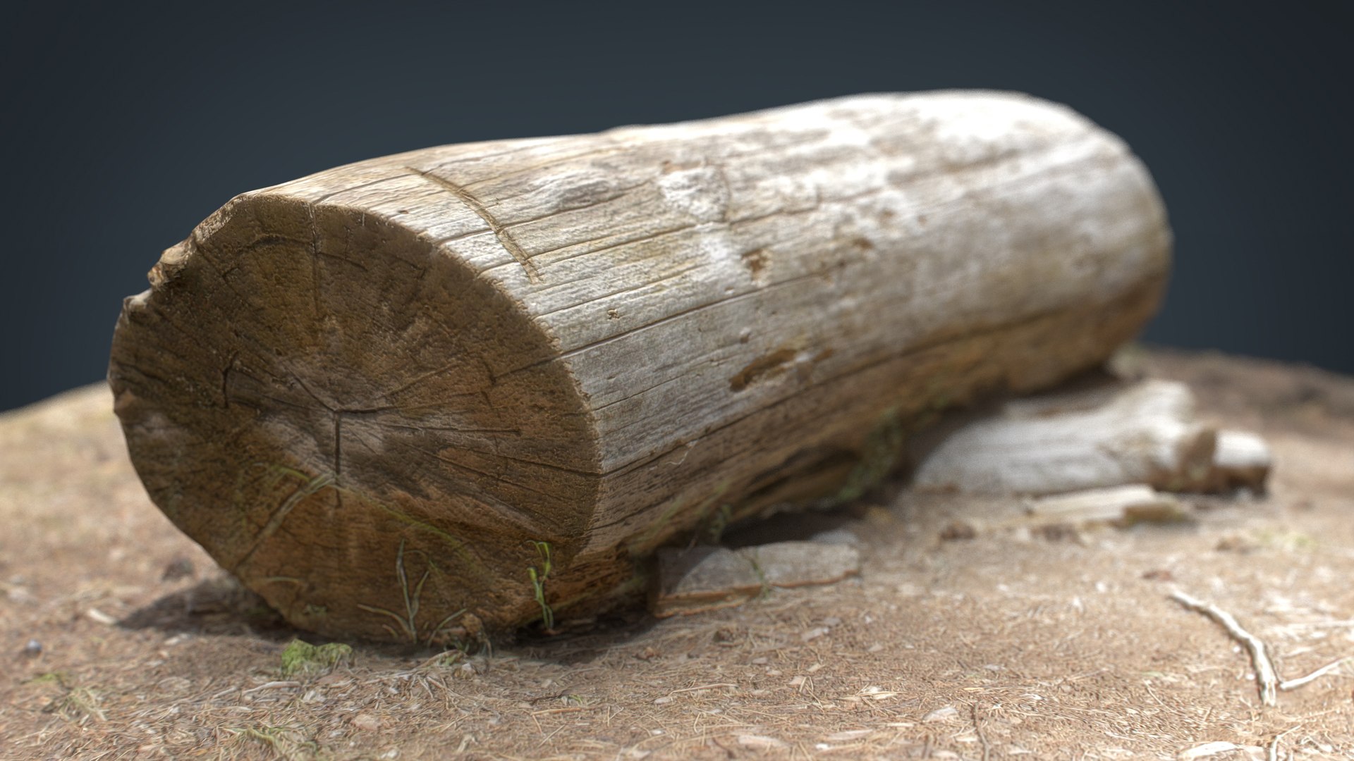 3D dead trunk model - TurboSquid 1162424