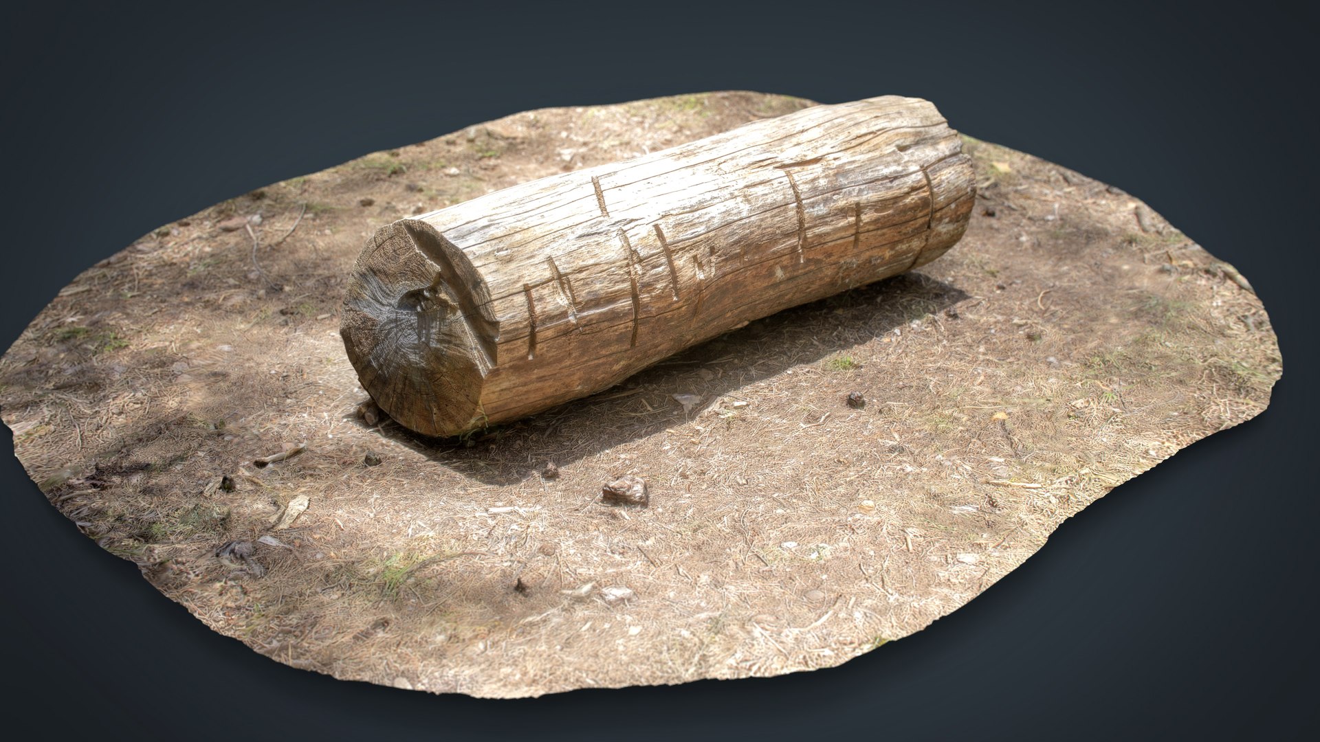3D dead trunk model - TurboSquid 1162424