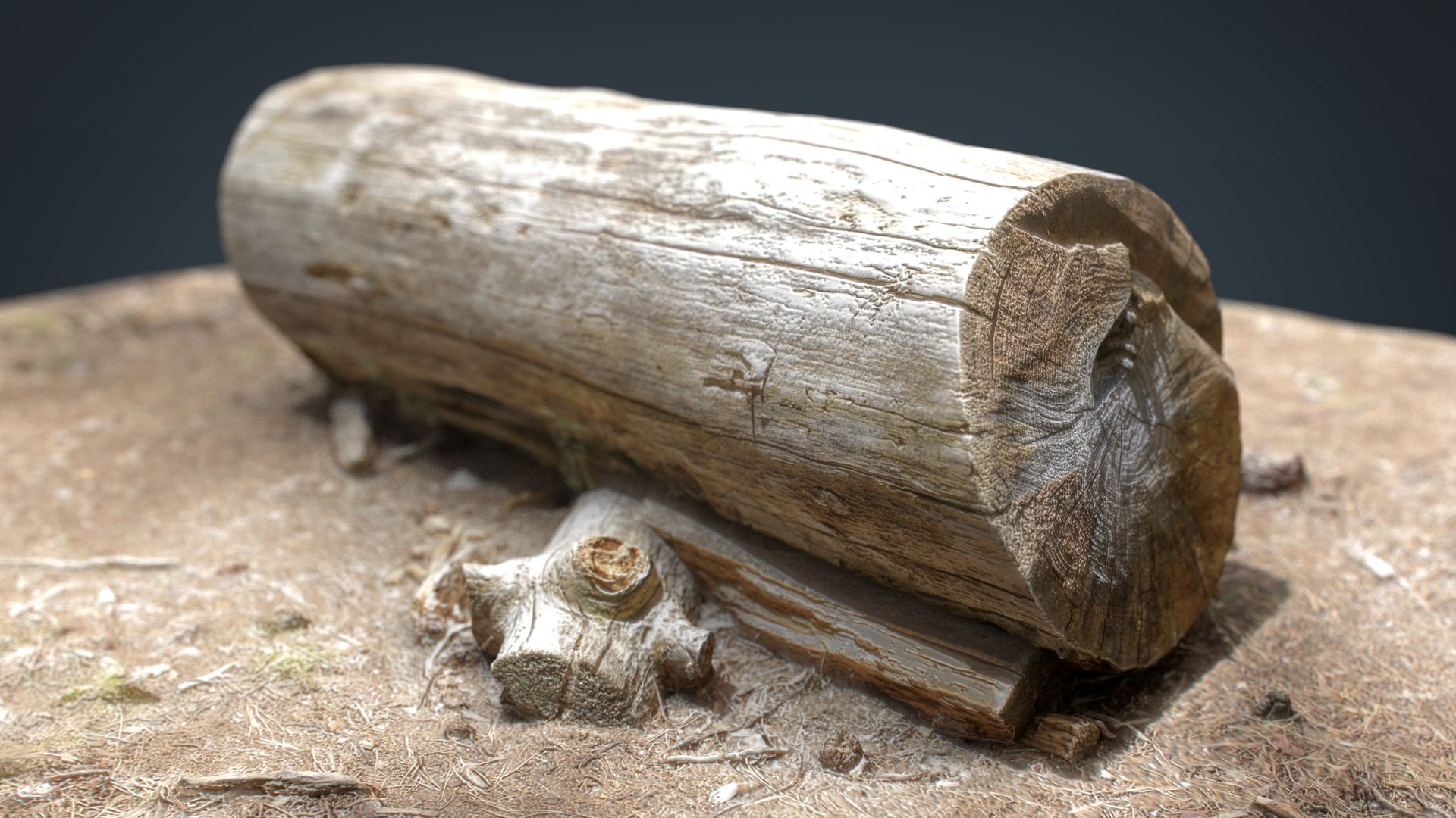 3D dead trunk model - TurboSquid 1162424