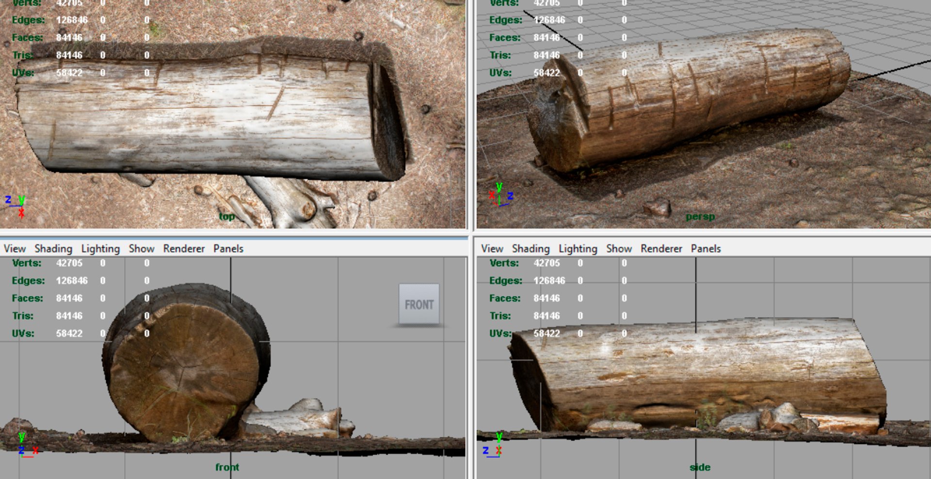 3D dead trunk model - TurboSquid 1162424