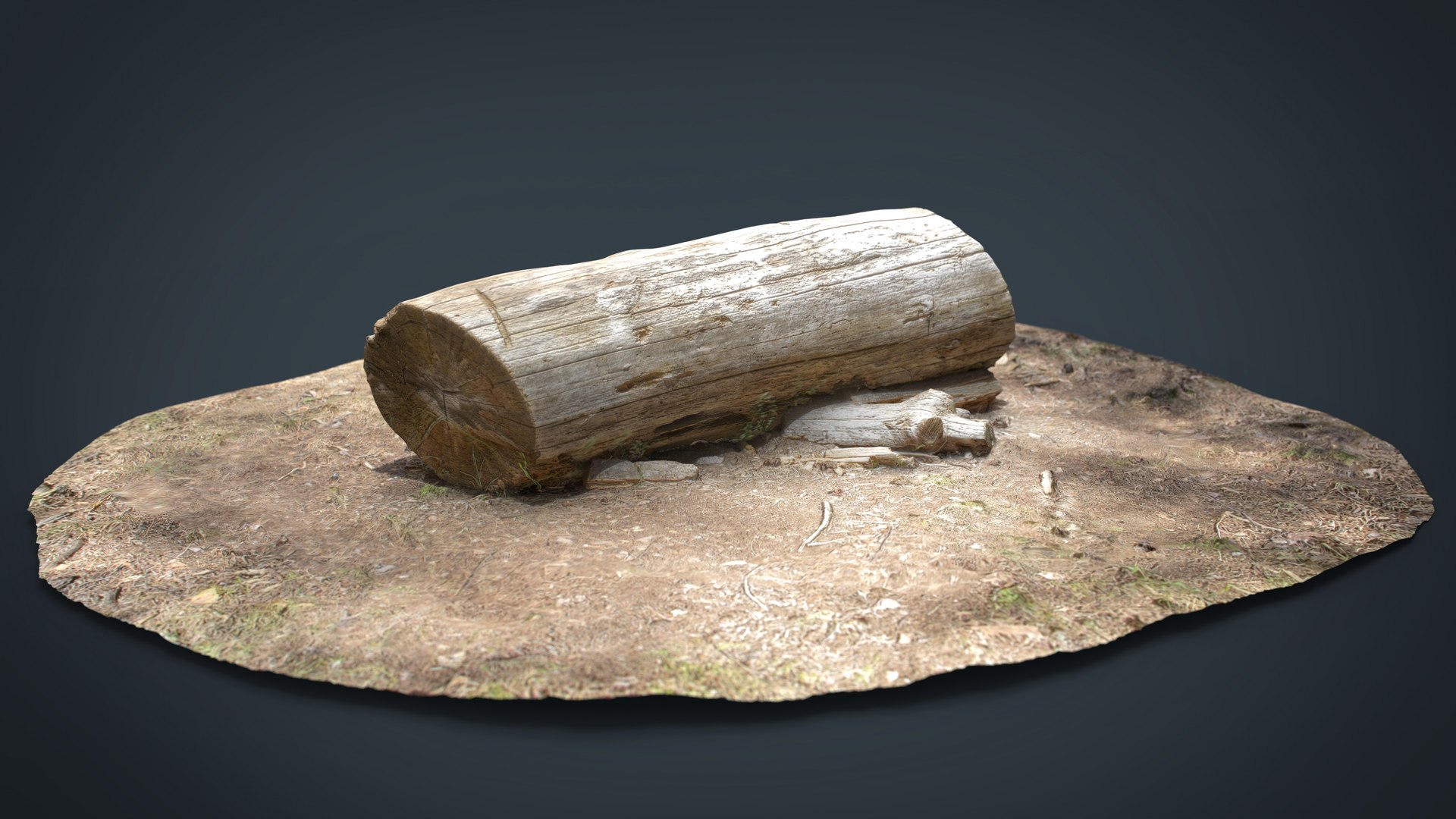 3D dead trunk model - TurboSquid 1162424