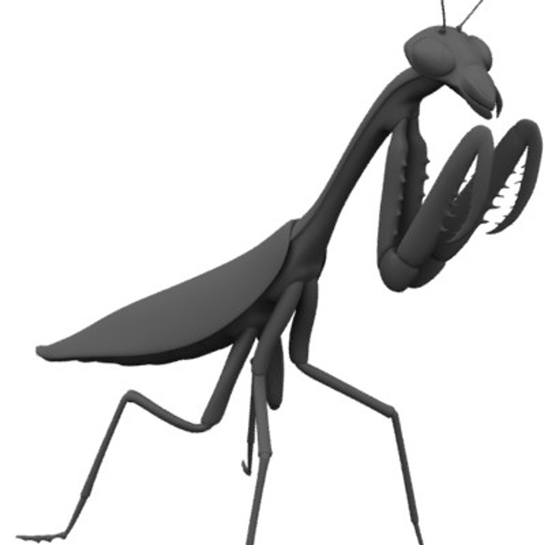 Maya Praying Mantis