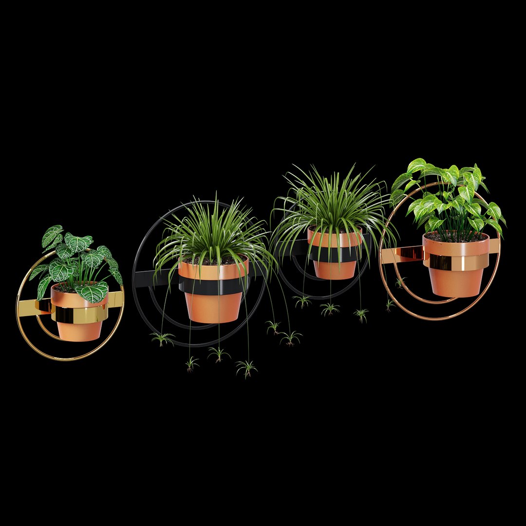 3D Wall Planters Pots - TurboSquid 1463685