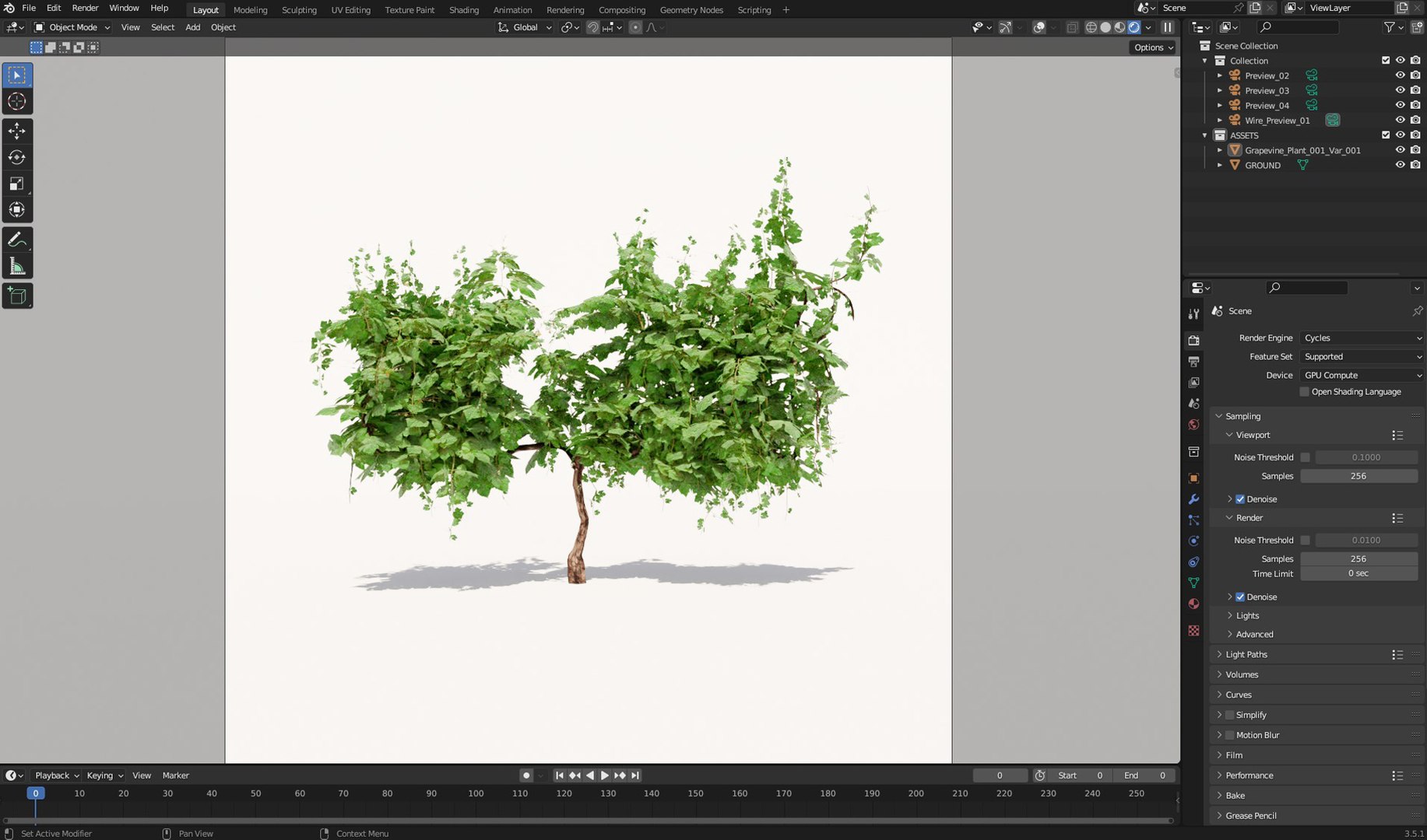 Grapevine Plant 001 Var 001 3D Model - TurboSquid 2083754