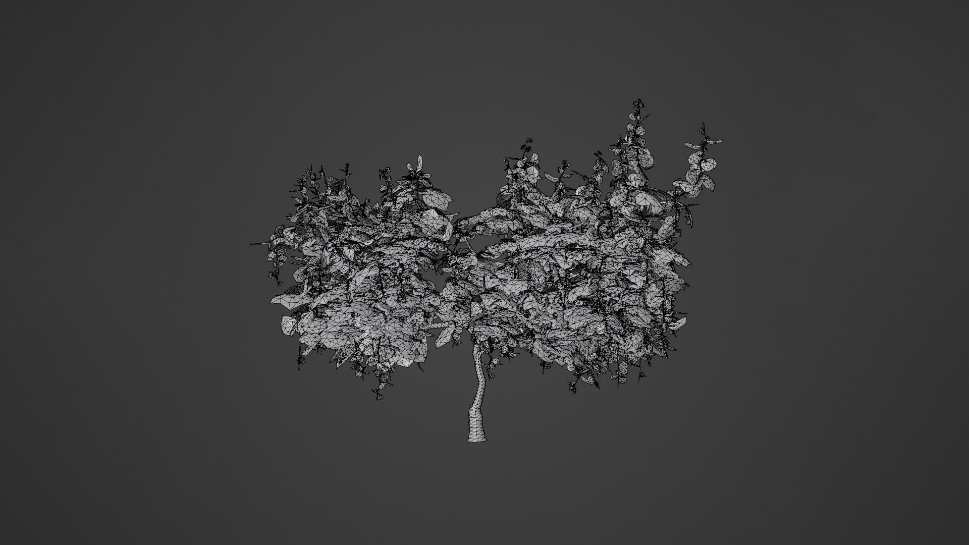 Grapevine Plant 001 Var 001 3D Model - TurboSquid 2083754