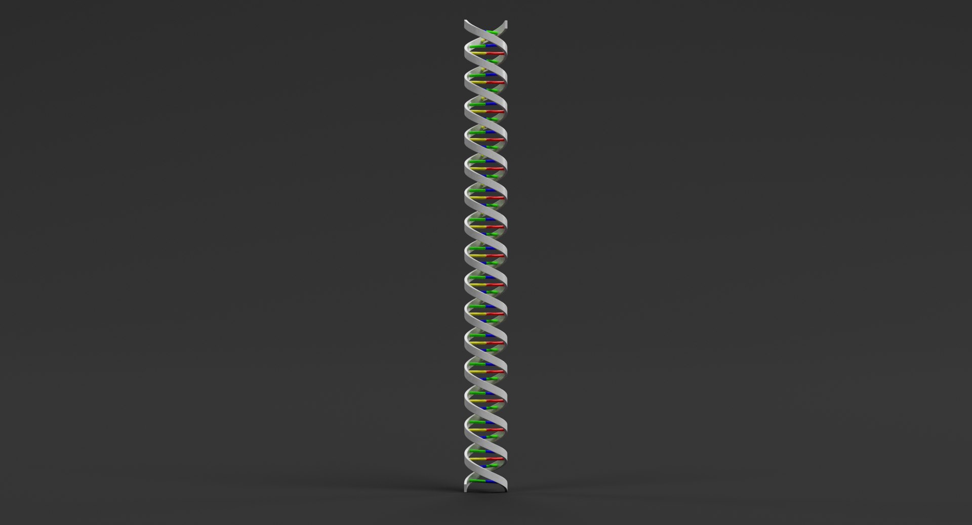 Human Dna Model - TurboSquid 1268653