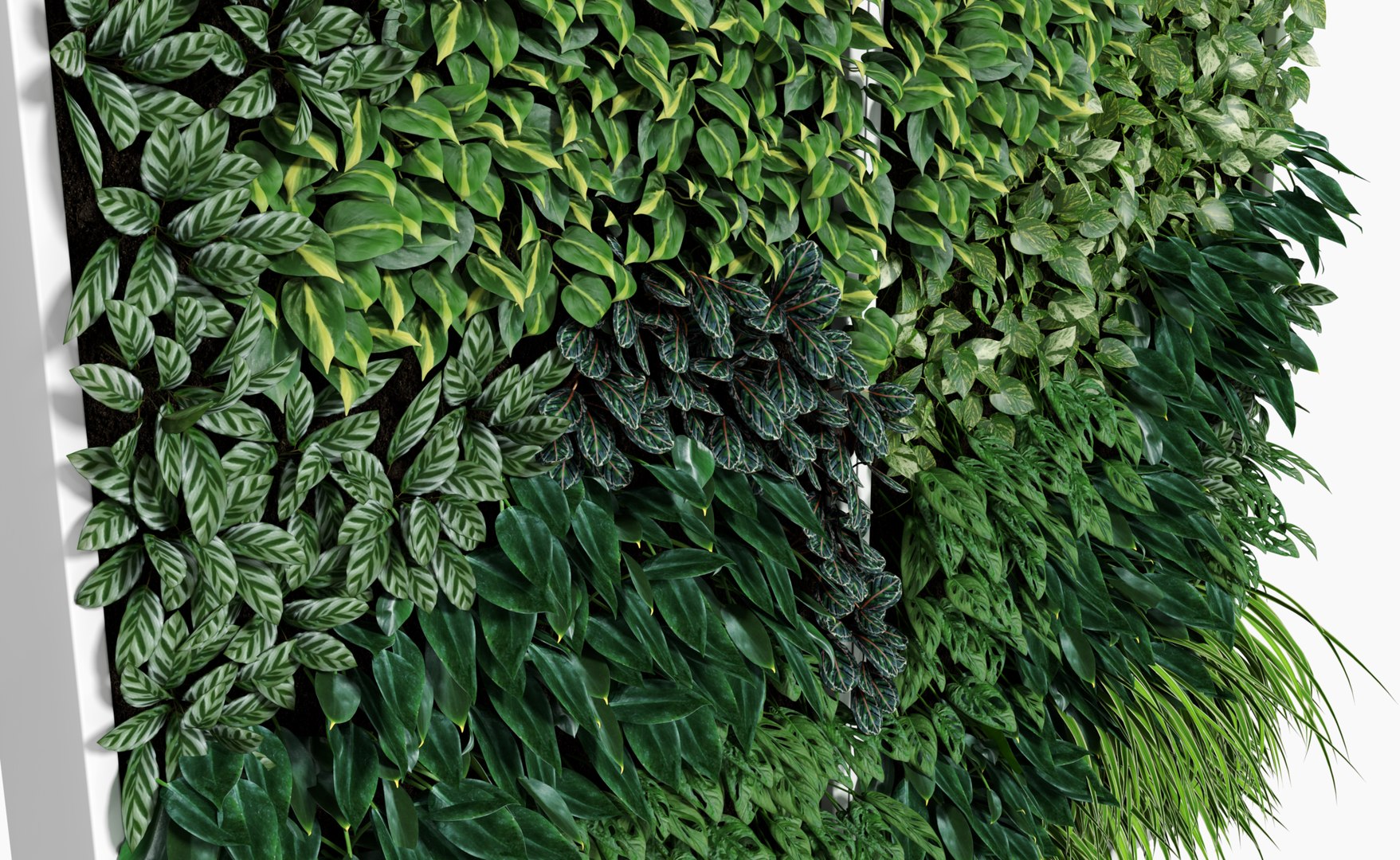 Vertical GreenWall 1 - Potus - Philodendron - Chlorophytum - Monstera 3D - TurboSquid 2112560