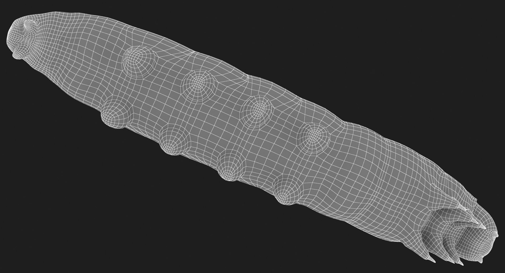 Realistic Caterpillars 02 3D Model - TurboSquid 1173641