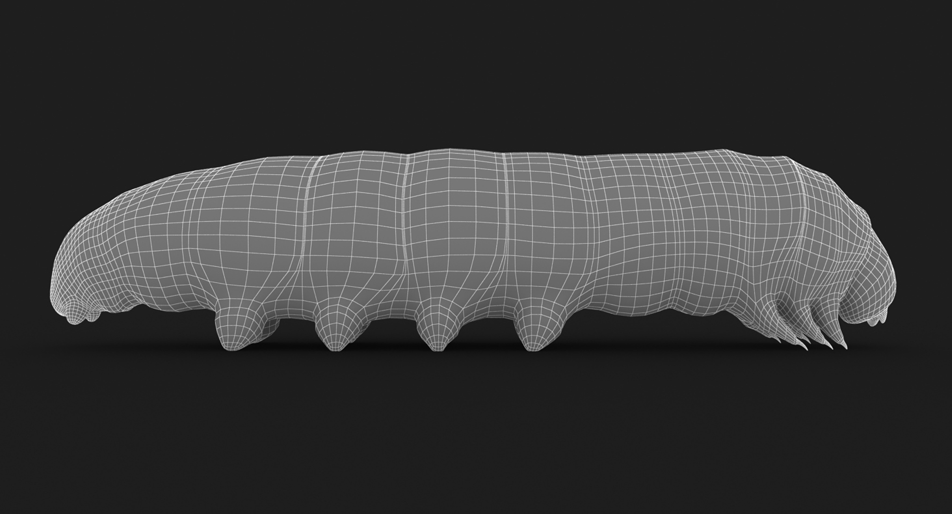 Realistic Caterpillars 02 3D Model - TurboSquid 1173641