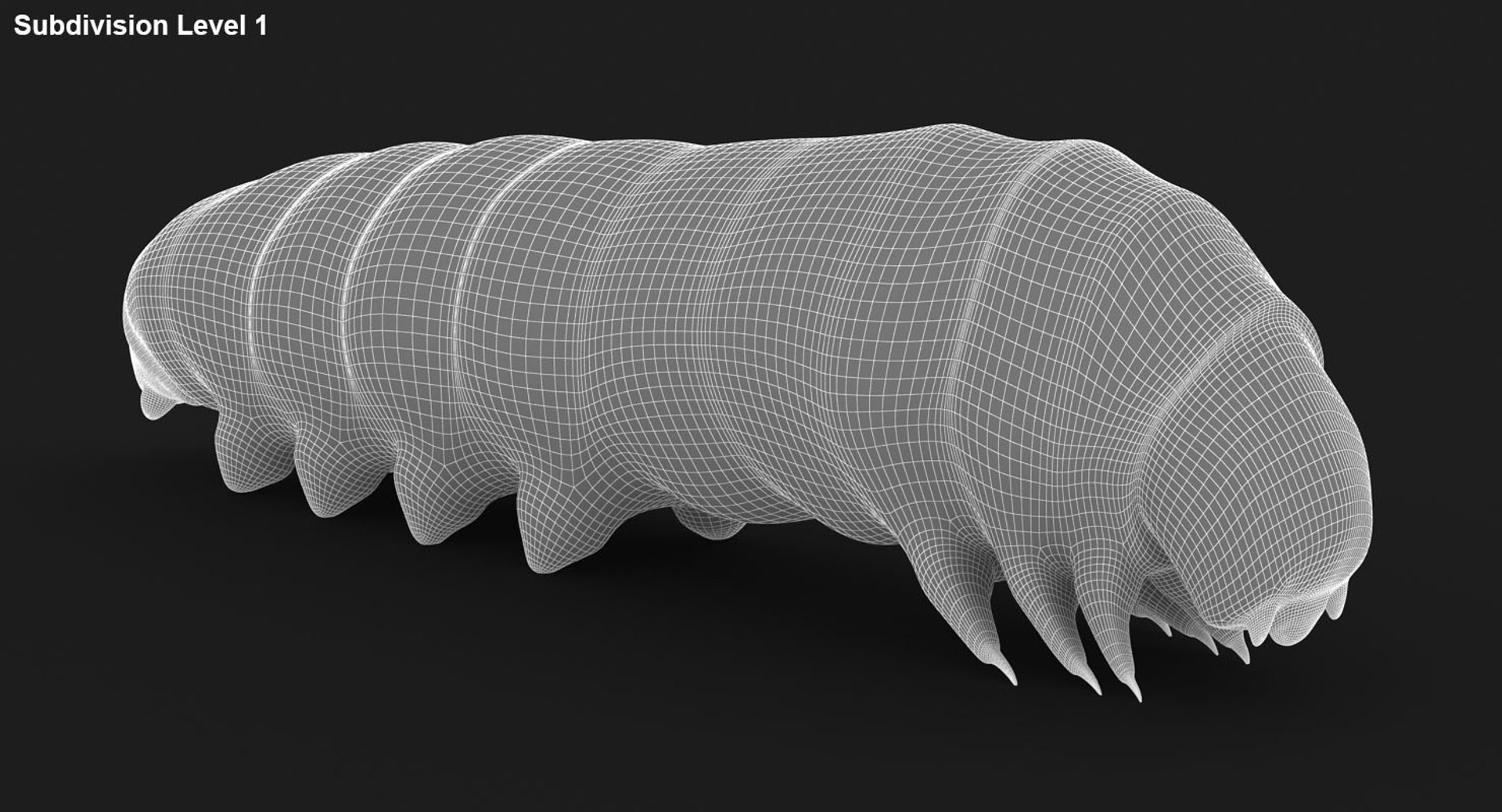 Realistic Caterpillars 02 3D Model - TurboSquid 1173641