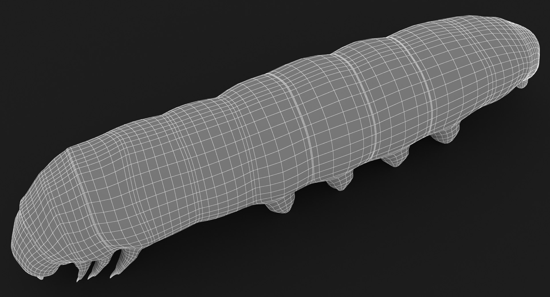 Realistic Caterpillars 02 3D Model - TurboSquid 1173641