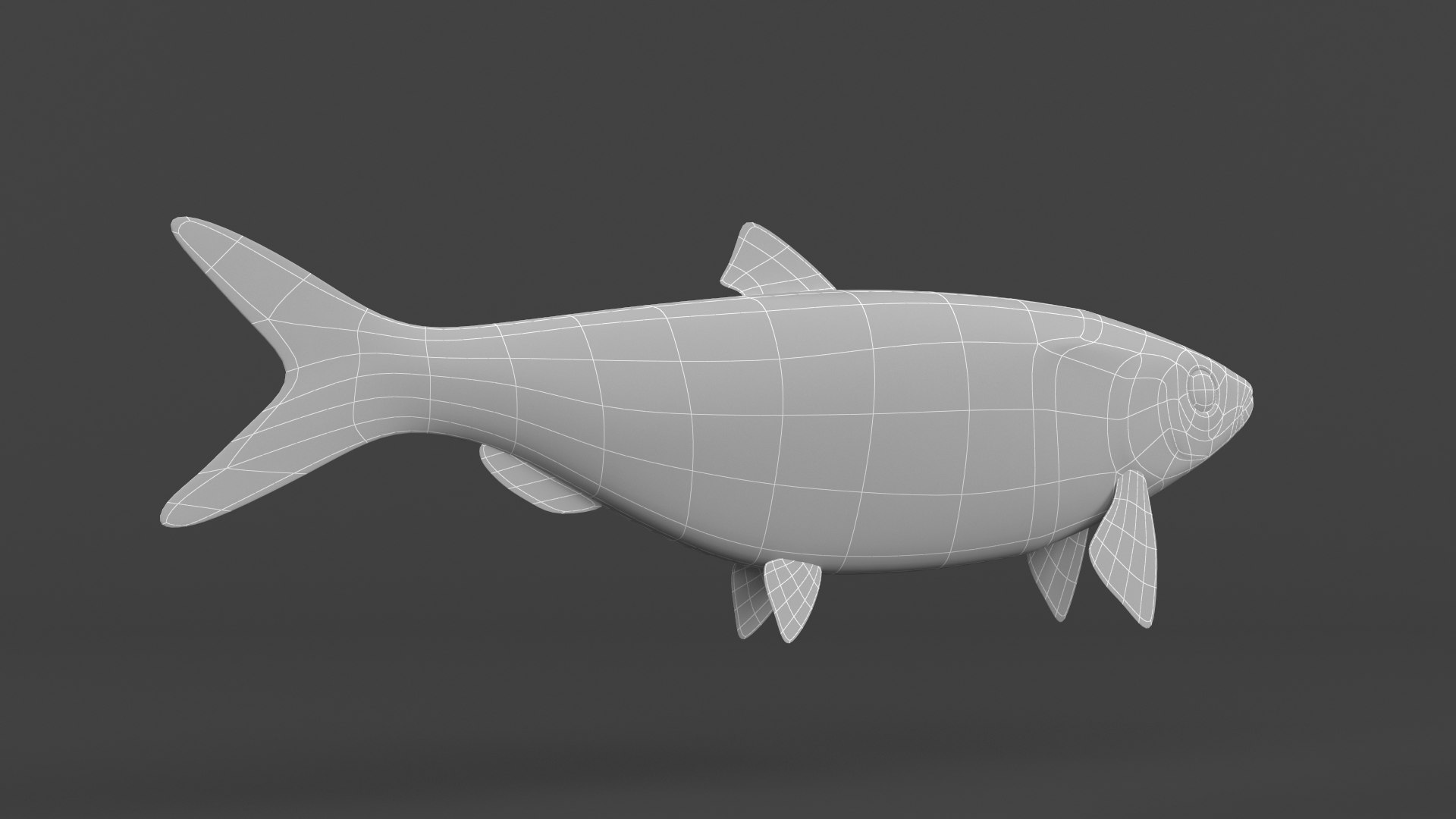 Fish Herring 3D Model - TurboSquid 2254790