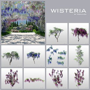 wisteria wysteria plant 3d model
